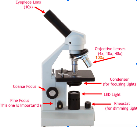 Setting Up the Microscope and Taking a sample M3L2 - Living Ground Courses